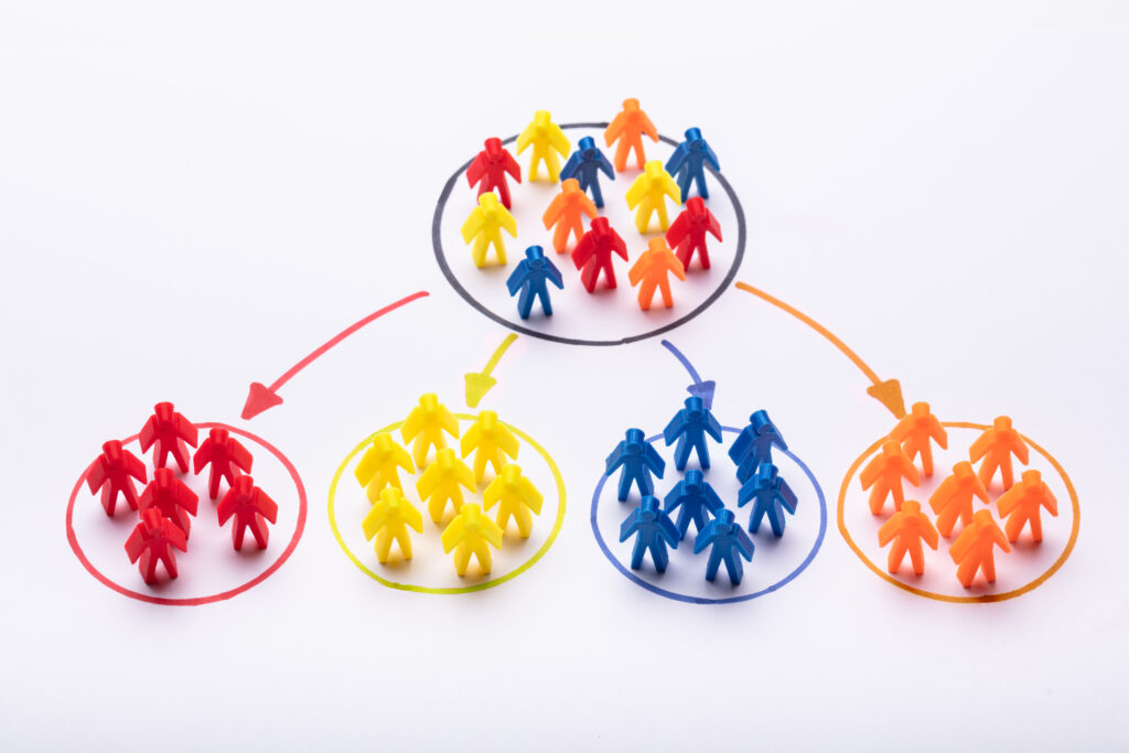 Demographic Groups Explained: Types, Benefits, How to Use Them in Marketing